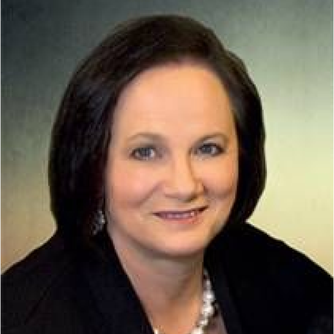 Paula Barnes Fabric - Farmhouse Quilting Co - Fast and Free Shipping