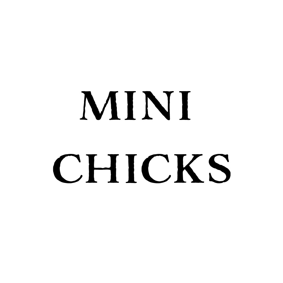 Mini Chicks - Farmhouse Quilting Co - Fast and Free Shipping